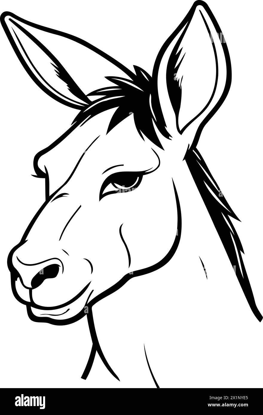 Donkey head. Vector illustration of a donkey head isolated on white ...