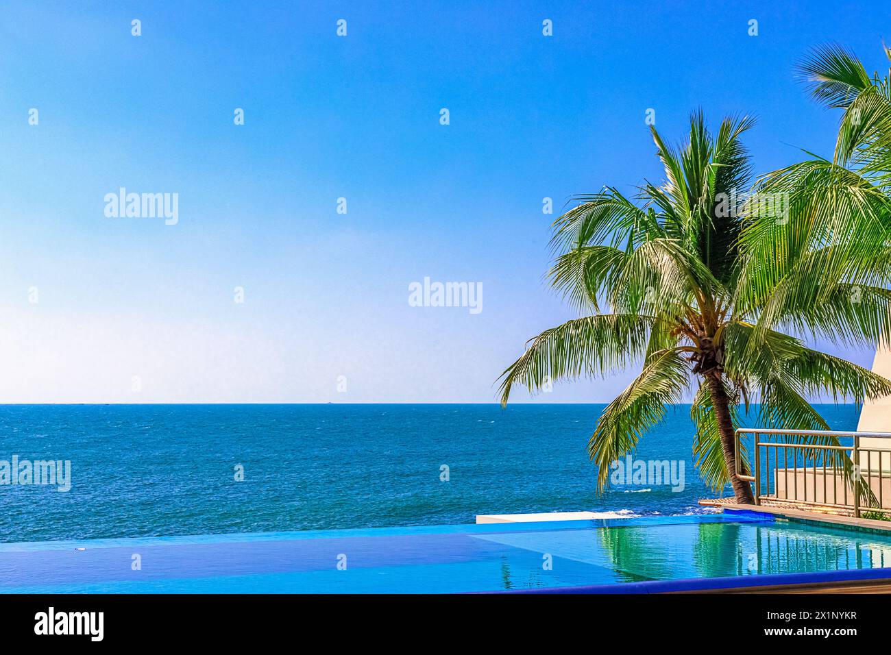 View of the outdoor pool by the sea. There is a lush palm tree next to ...