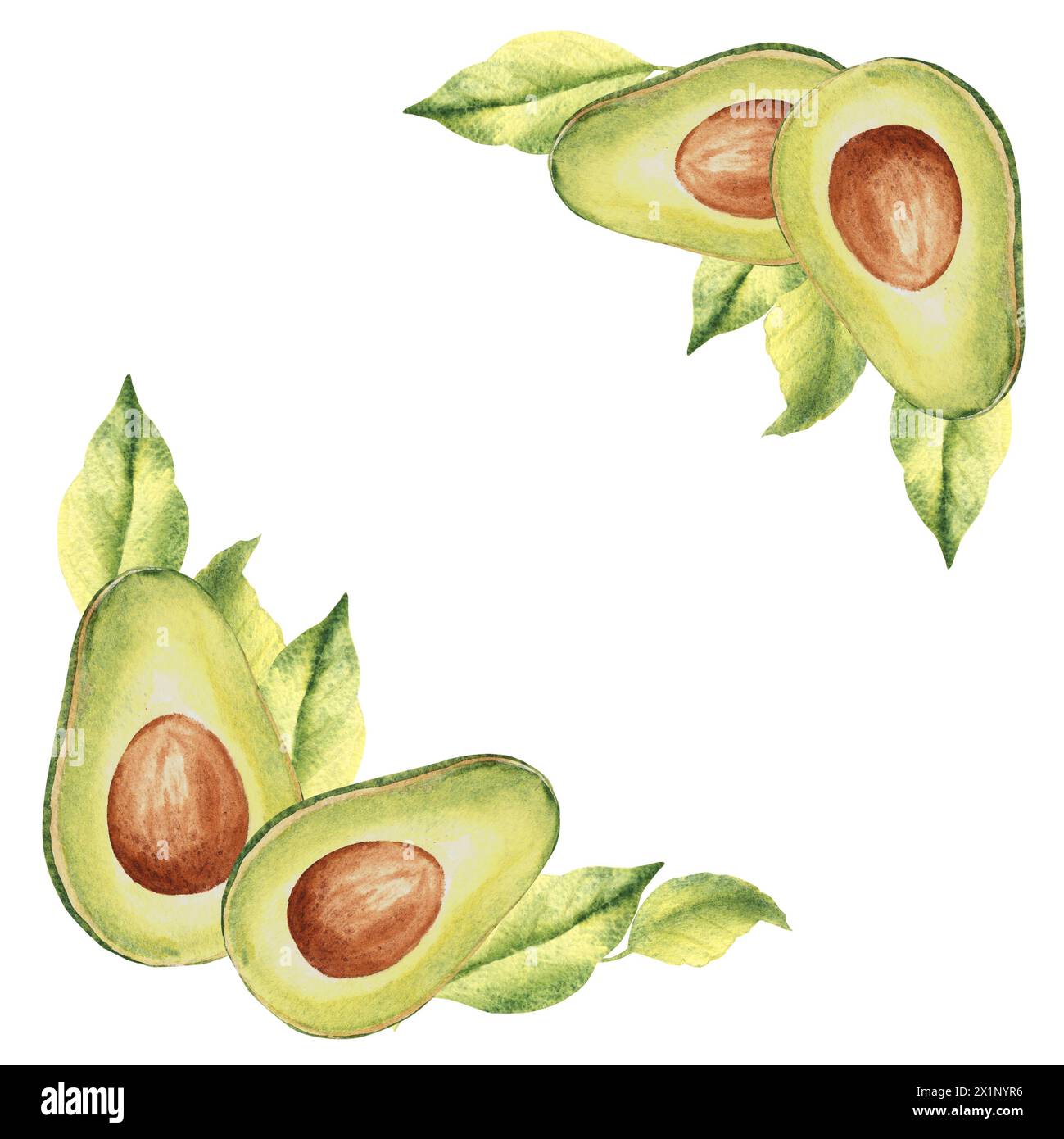 Avocado corner compositions with avocado half fruit and leaves ...