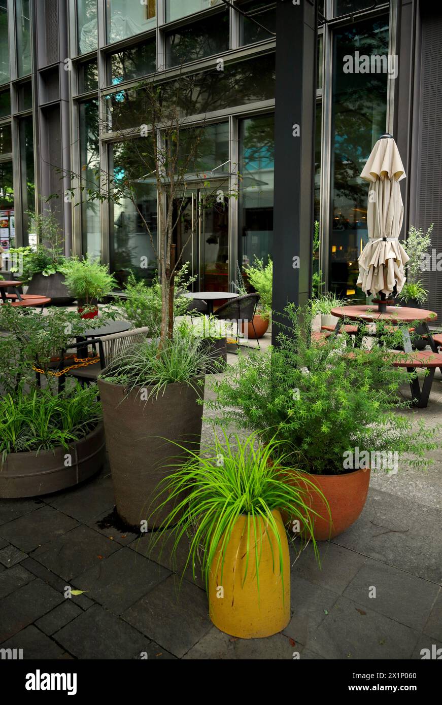 Tokyo Street View Scenery of a cafe on Marunouchi Nakadori Street ...