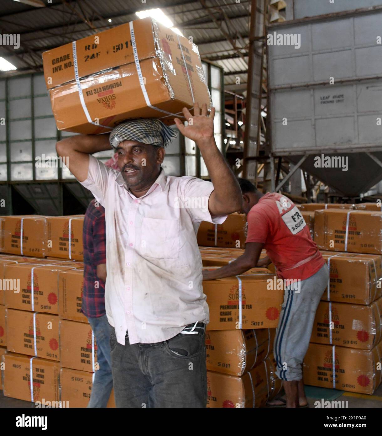 Wayanad, Kerala, USA. 20th Mar, 2024. Boxes of processed CTC tea (Crush ...