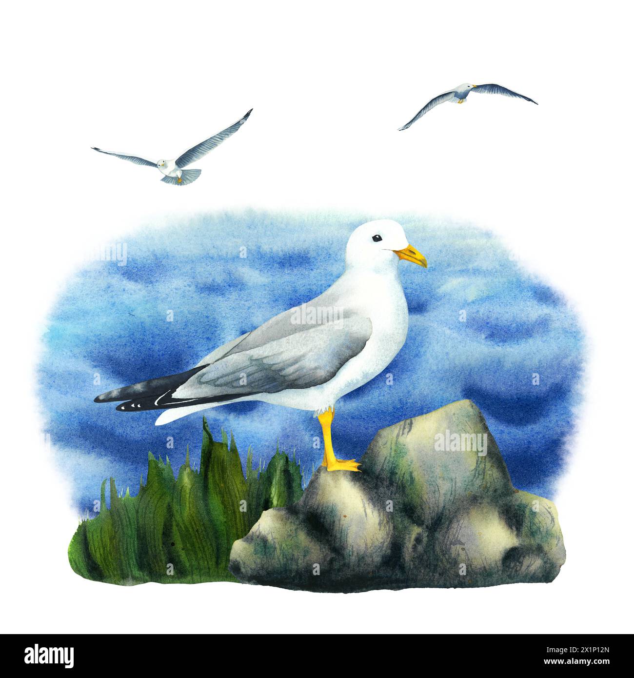 Seagulls Rock And Sea Water Elements Composition Hand Drawn Watercolor