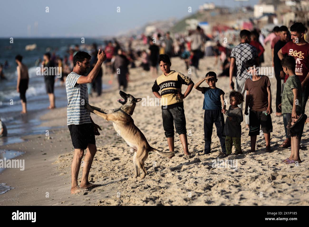 Gaza, Gaza, Palestine. 17th Apr, 2024. A displaced Palestinian playing ...