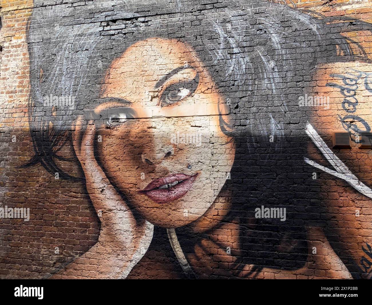 Amy winehouse hawley arms hi-res stock photography and images - Alamy