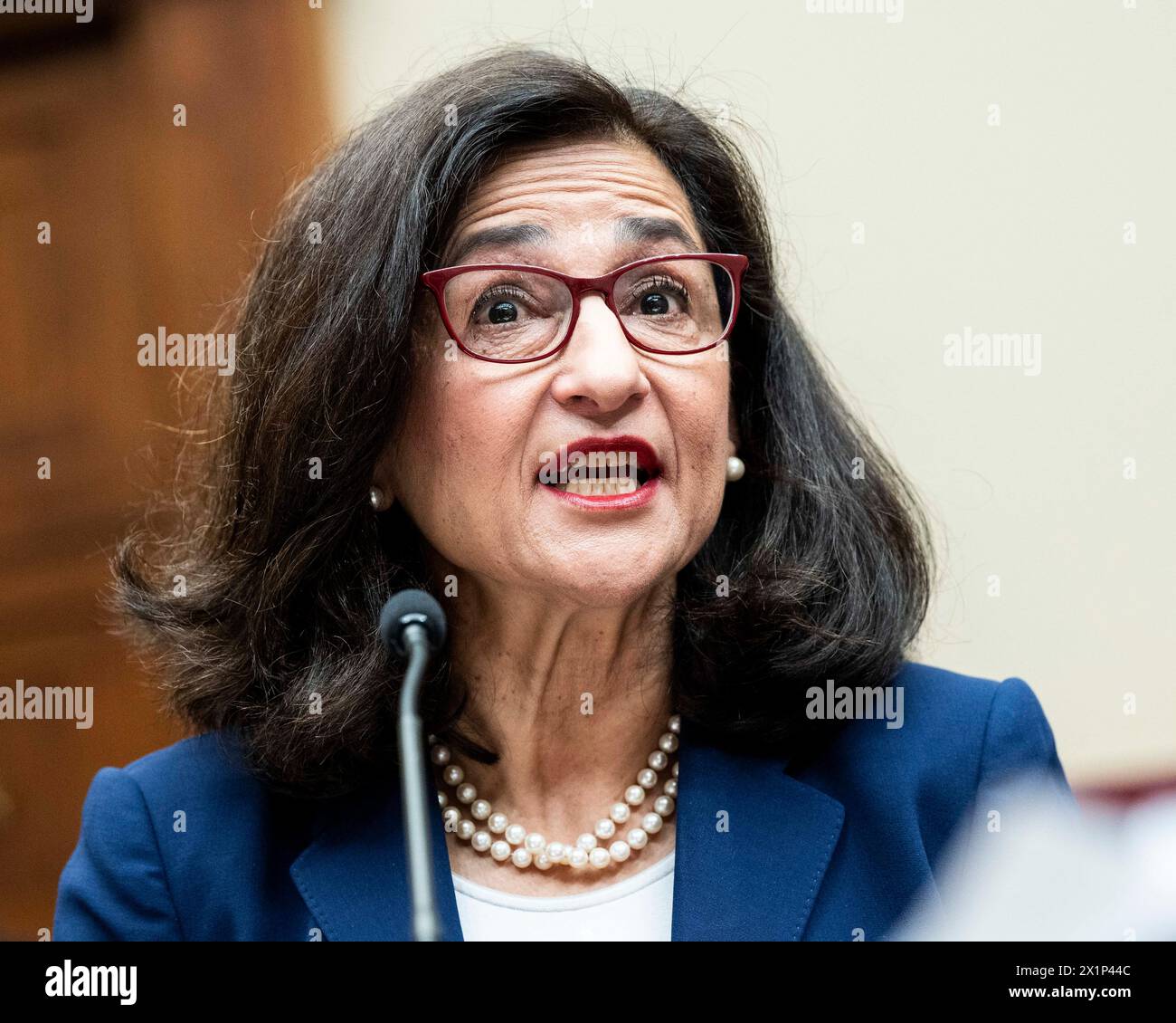 Washington, District Of Columbia, USA. 17th Apr, 2024. Dr. Nemat ...