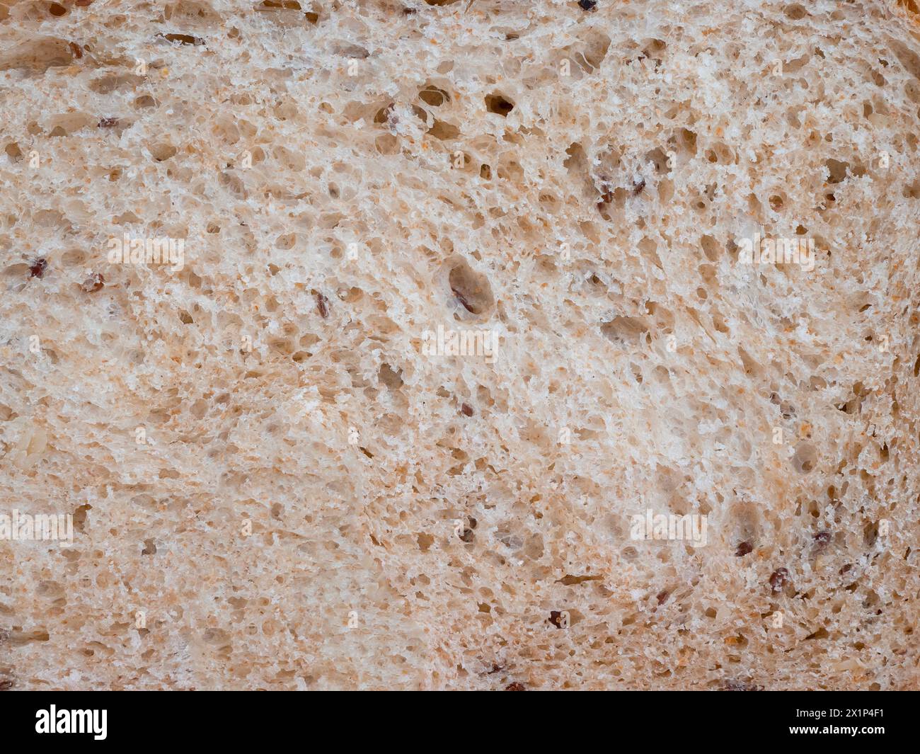 Crumb of the homemade white bread, close up. Wheat bread slice texture ...