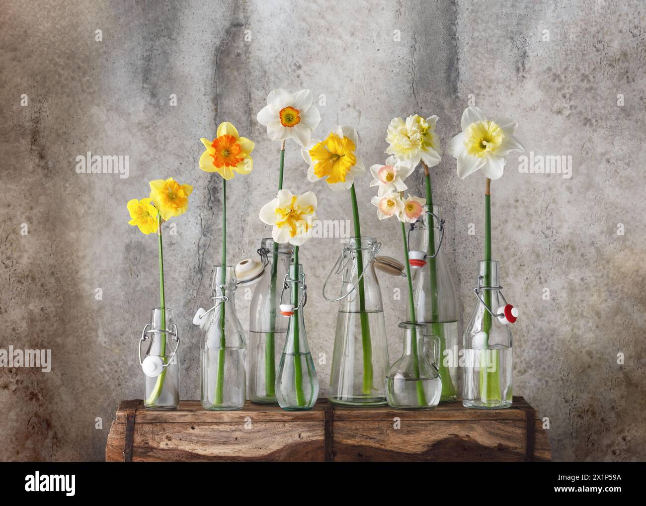Beautiful spring floristic arrangement with fresh colorful and ...