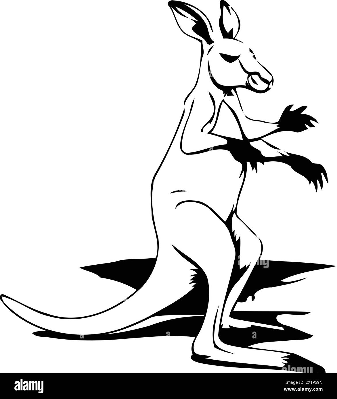 Cartoon kangaroo on beach Stock Vector Images - Alamy