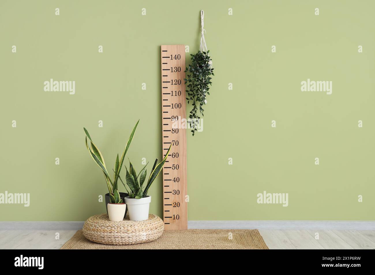 Wooden stadiometer and houseplants near green wall Stock Photo - Alamy