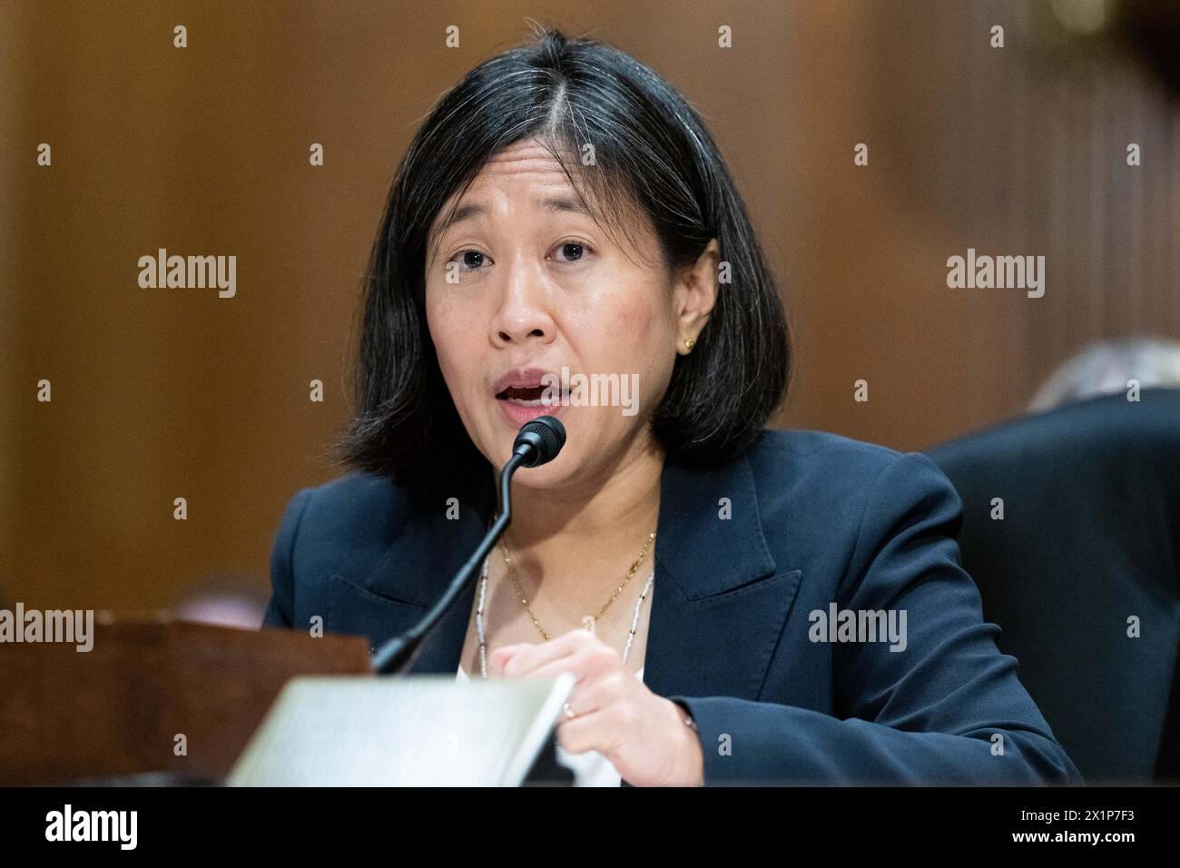 Washington, United States. 17th Apr, 2024. Katherine Tai, United States ...