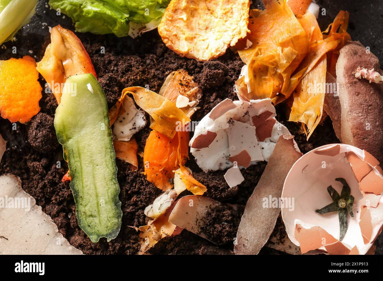 Closeup view of organic waste on soil. Compost recycling concept Stock ...