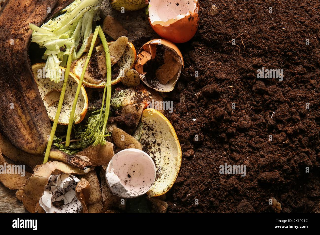 Organic waste on soil, closeup. Compost recycling concept Stock Photo ...
