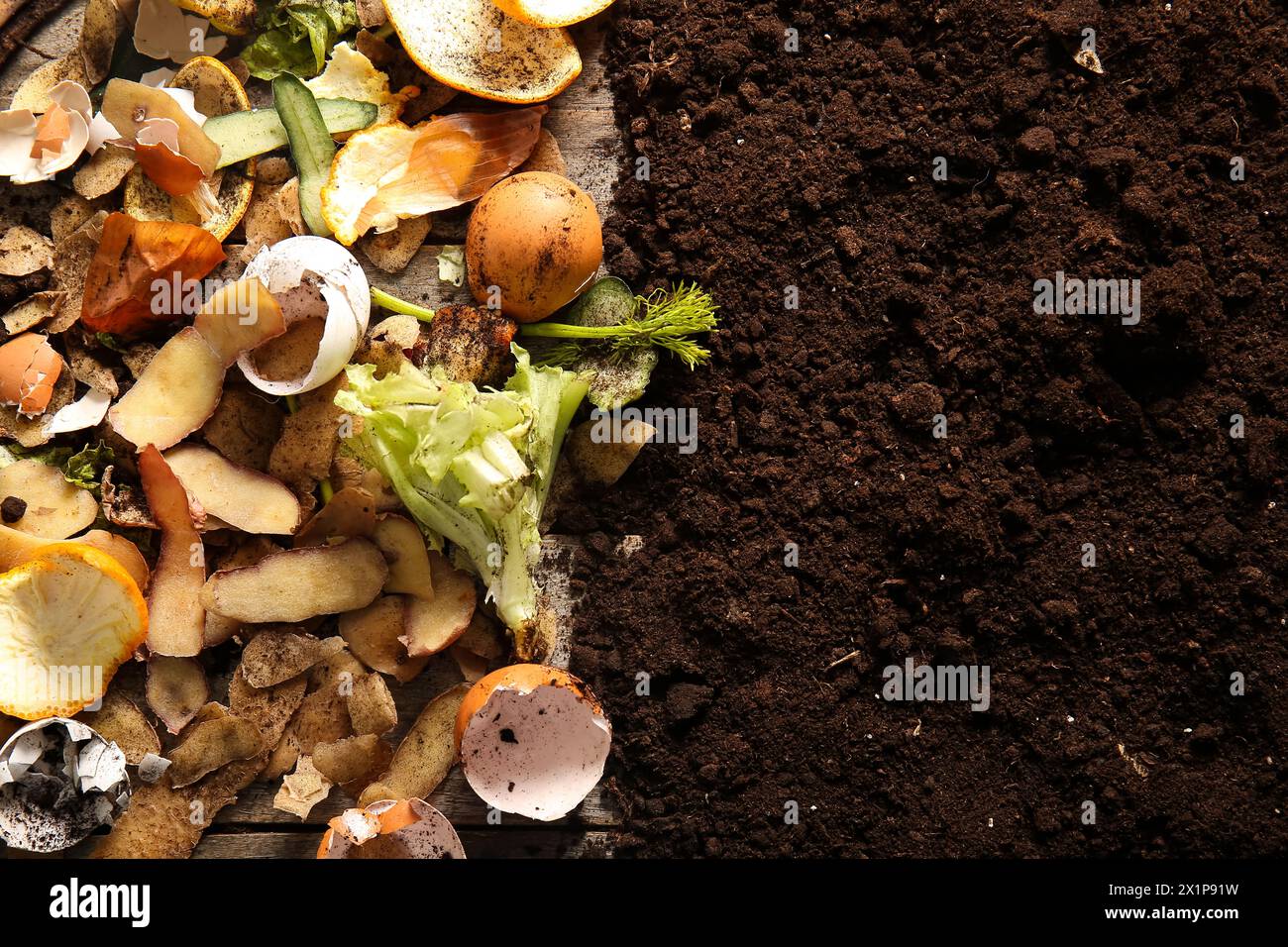 Organic waste on soil, closeup. Compost recycling concept Stock Photo ...