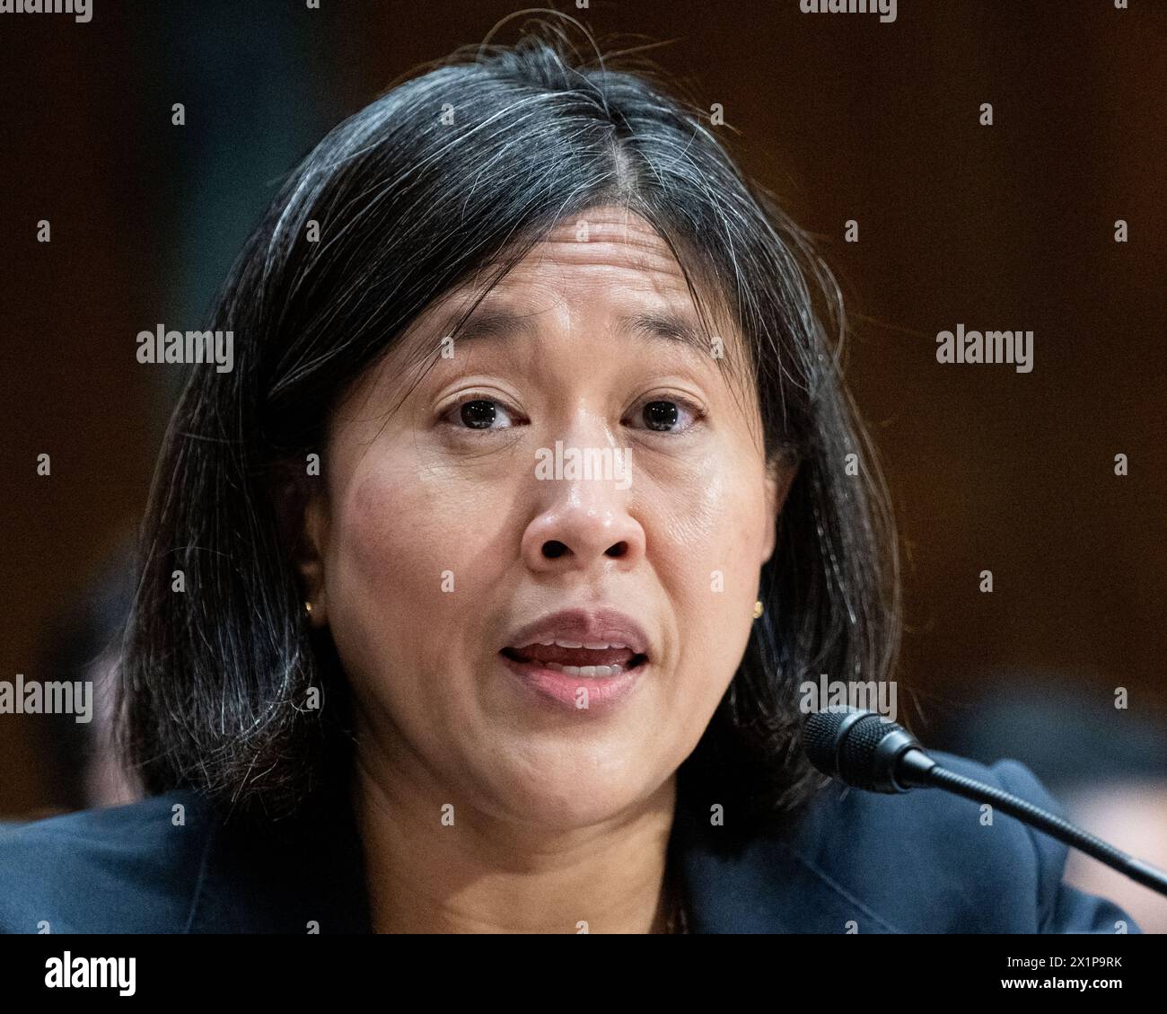 Washington, United States. 17th Apr, 2024. Katherine Tai, United States ...