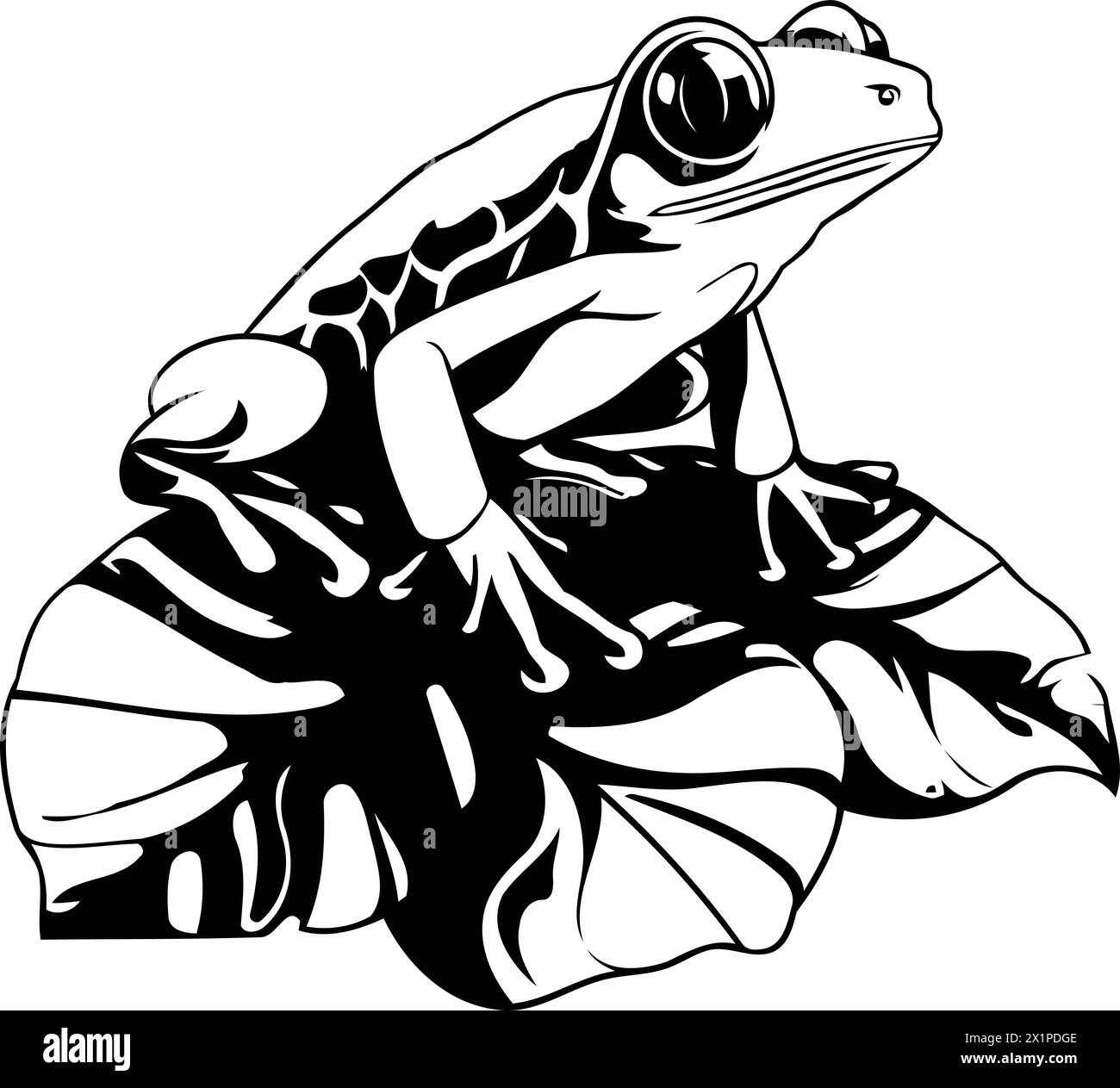 Red eyed leaf tree frog Cut Out Stock Images & Pictures - Alamy