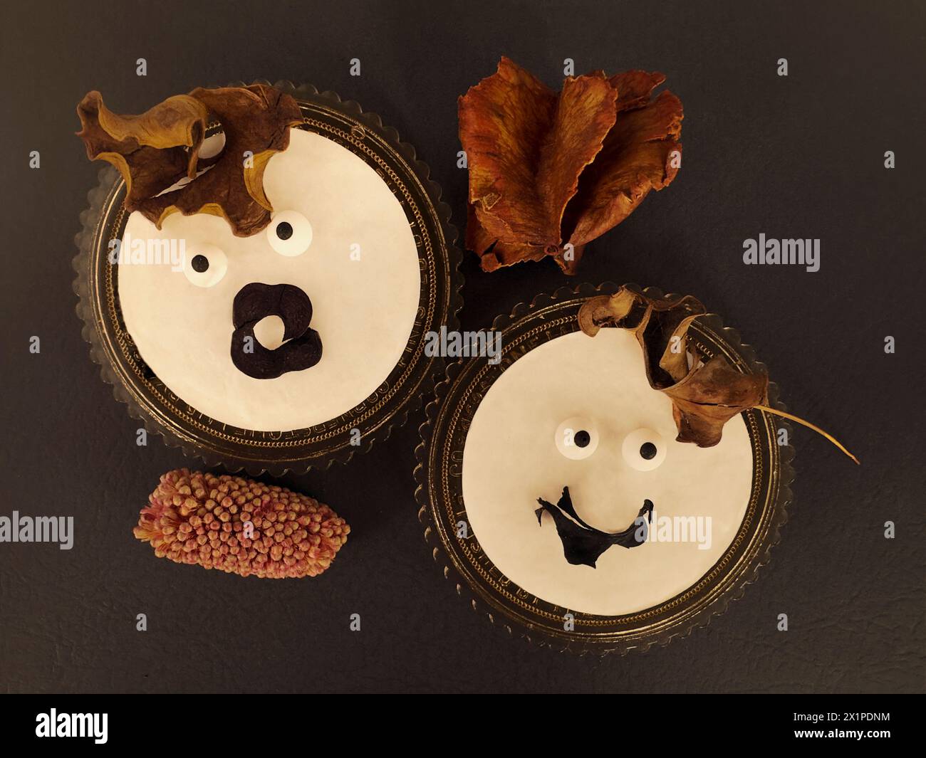 See fall faces in blowing wind, leaves & cones. Round heads crafted ...