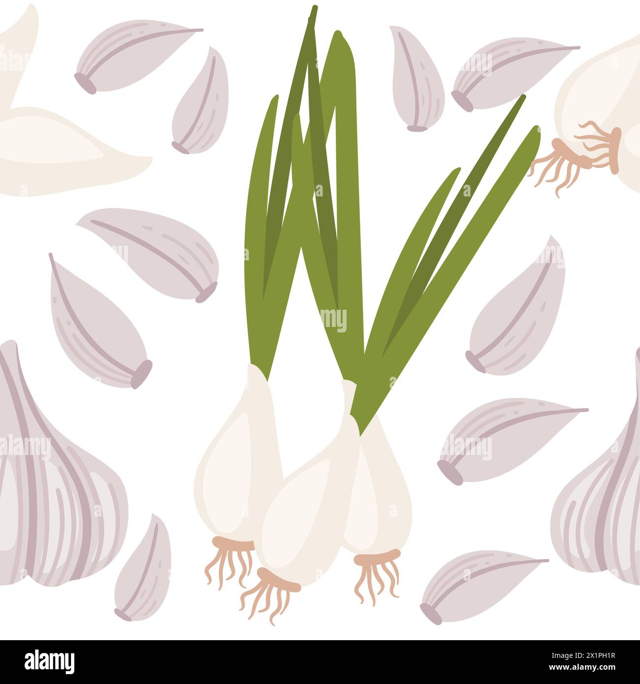 Seamless pattern of garlic with green stem spicy edible root vector ...