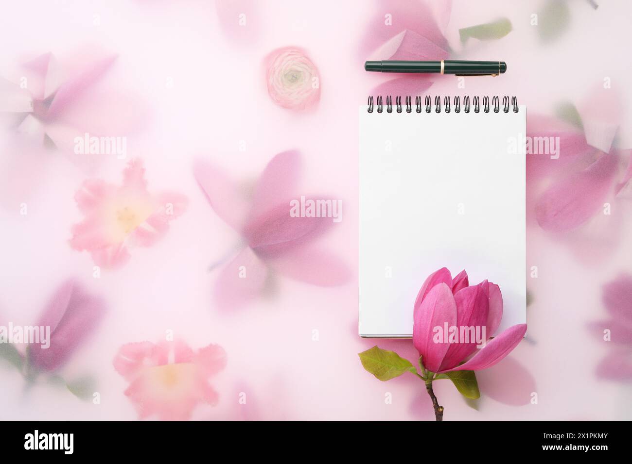 Guest list. Notebook, pen and magnolia on spring floral background ...