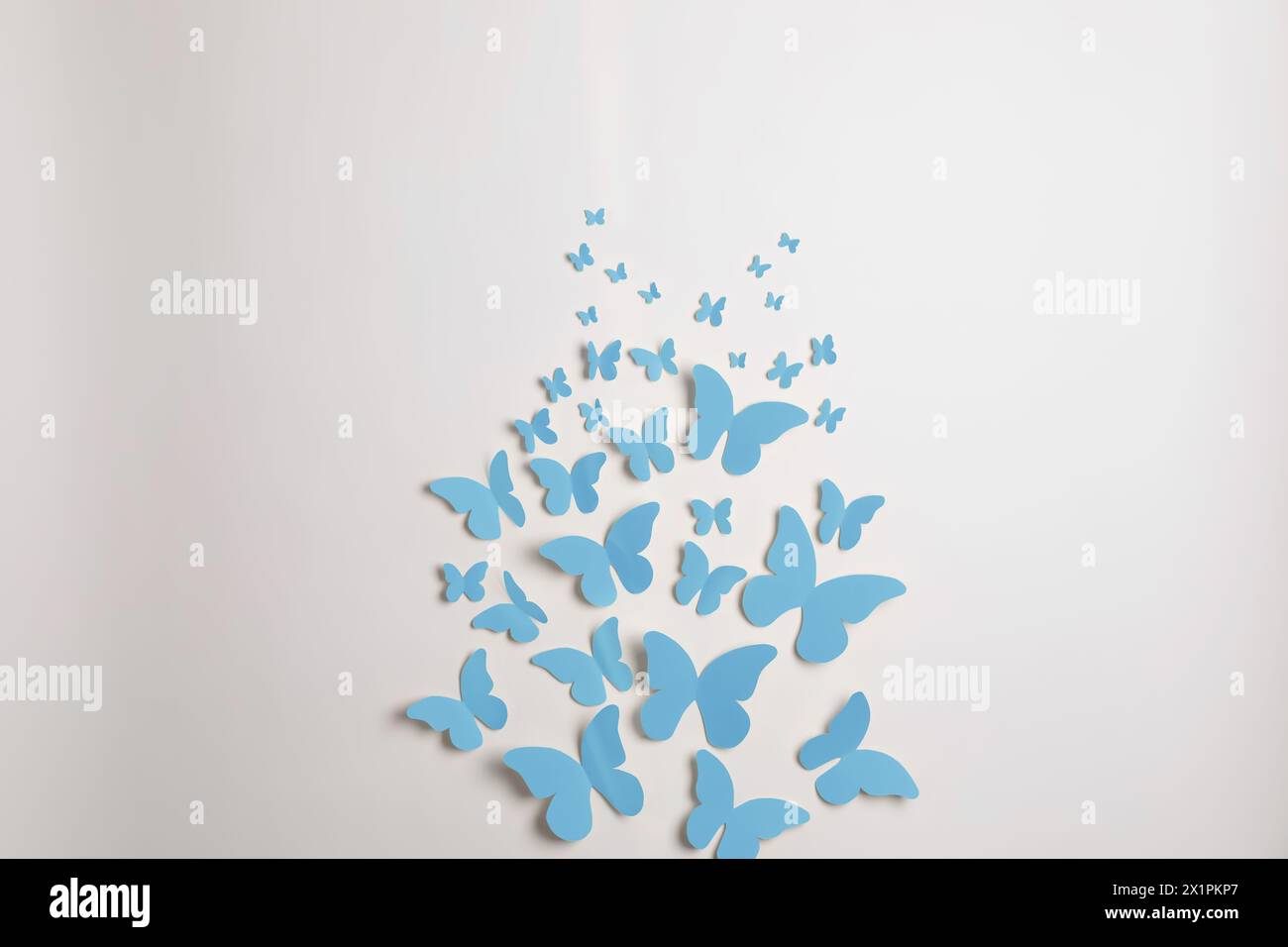 Light blue paper butterflies on white wall Stock Photo - Alamy