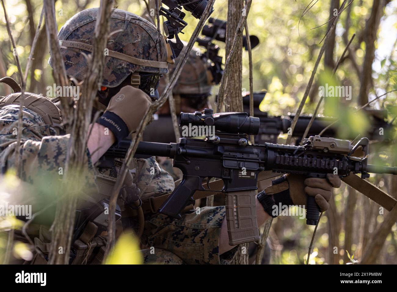 U.S Marines, Alpha Company, 4th Law Enforcement Battalion, 4th Marine ...