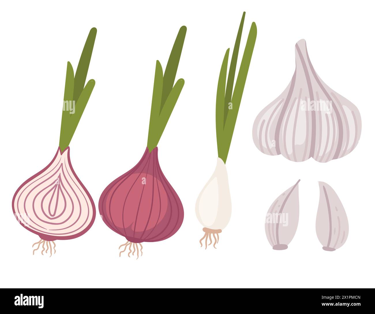 Set of bulb red onion and garlic with green stem spicy edible root ...