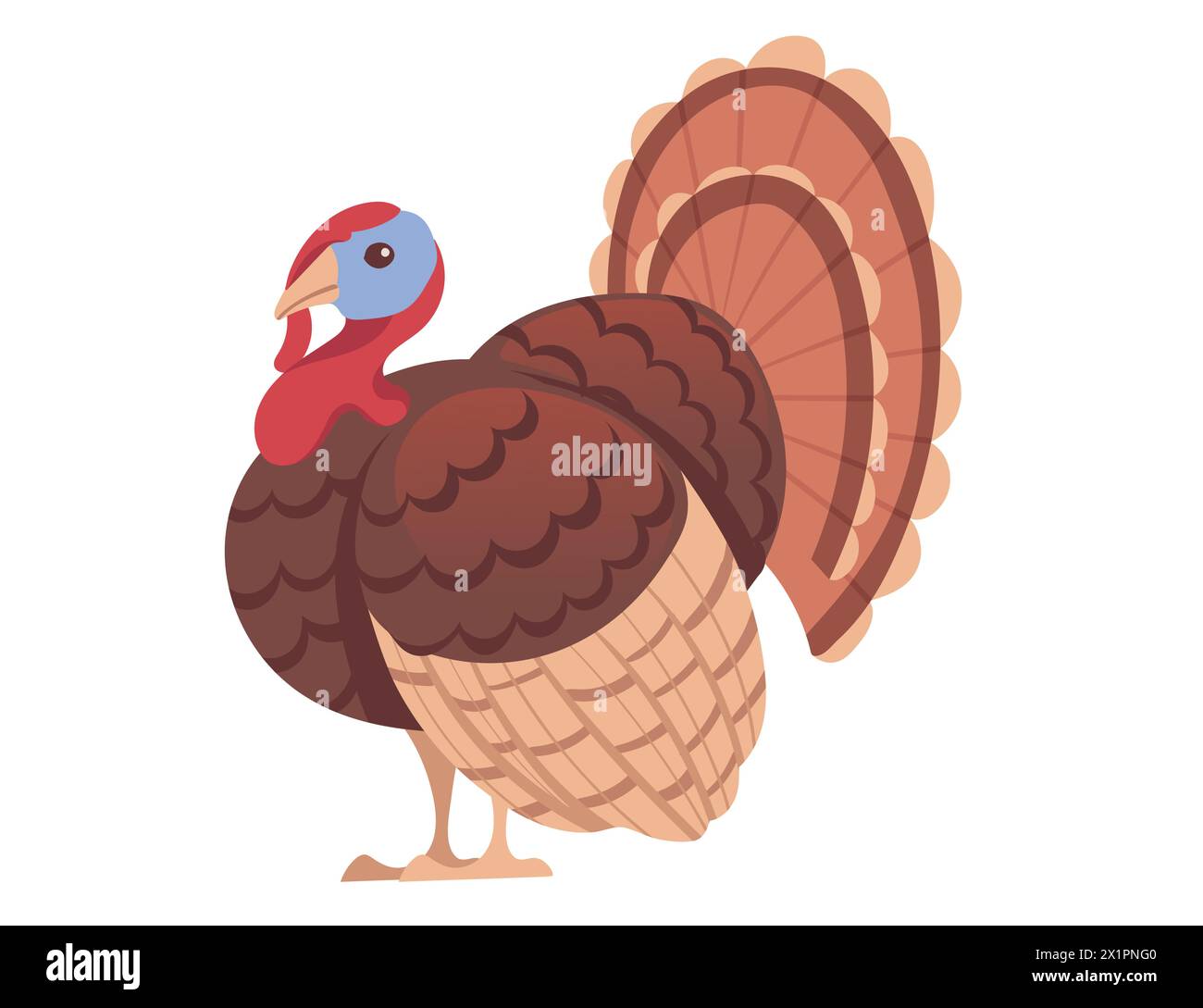 Cute turkey bird cartoon animal design vector illustration isolated on ...