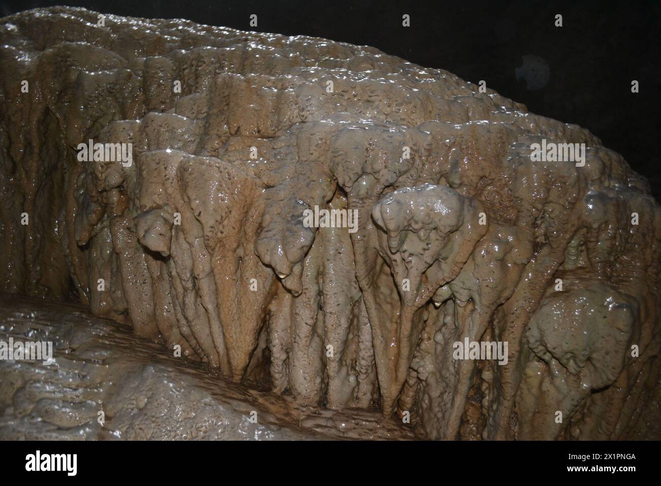 Closeup of big rock inside vertical Grubug cave Stock Photo - Alamy