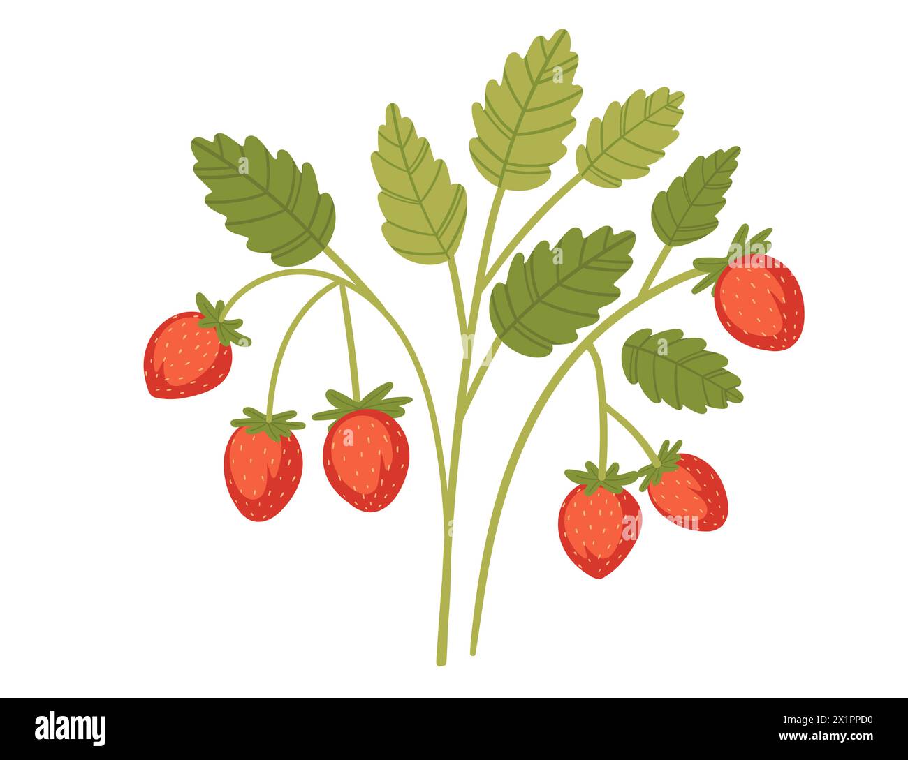 Red wild strawberry on green stem with green leaves forest berry vector ...