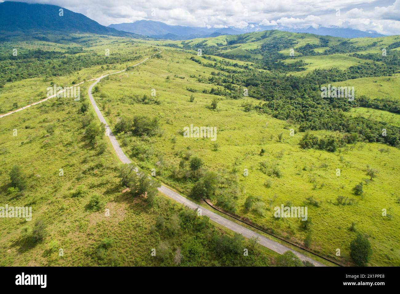 Beautiful aerial view of the Borneo jungle Stock Photo - Alamy