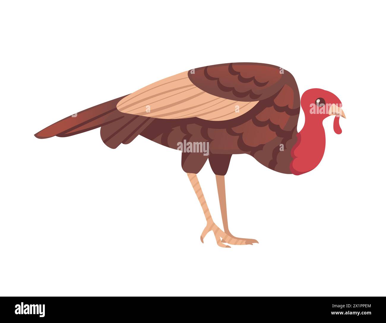 Cute turkey bird cartoon animal design vector illustration isolated on ...