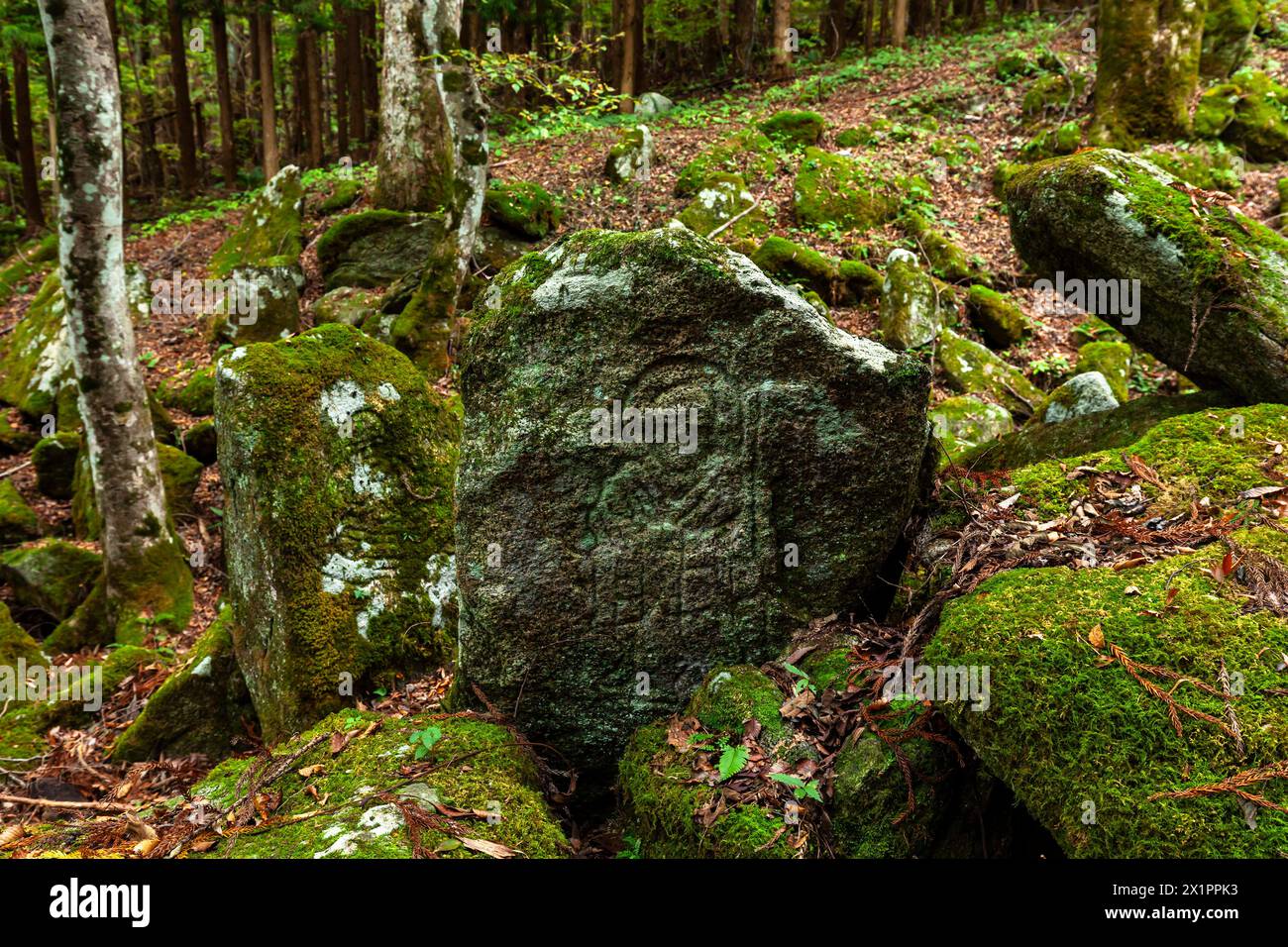 Tono Gohyaku Rakan, relief of Buddhist monks of natural stones, natural ...