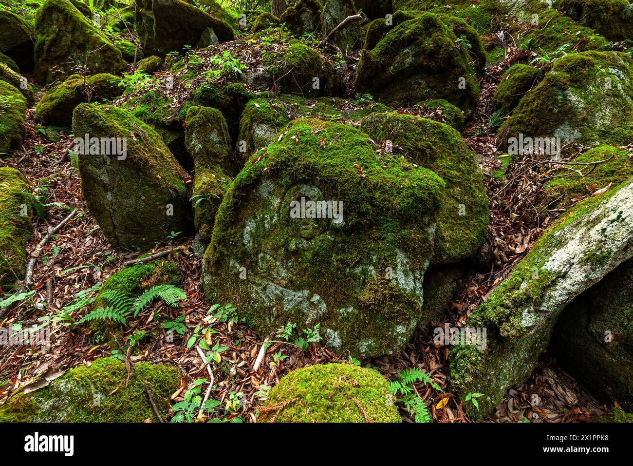 Tono Gohyaku Rakan, relief of Buddhist monks of natural stones, natural ...