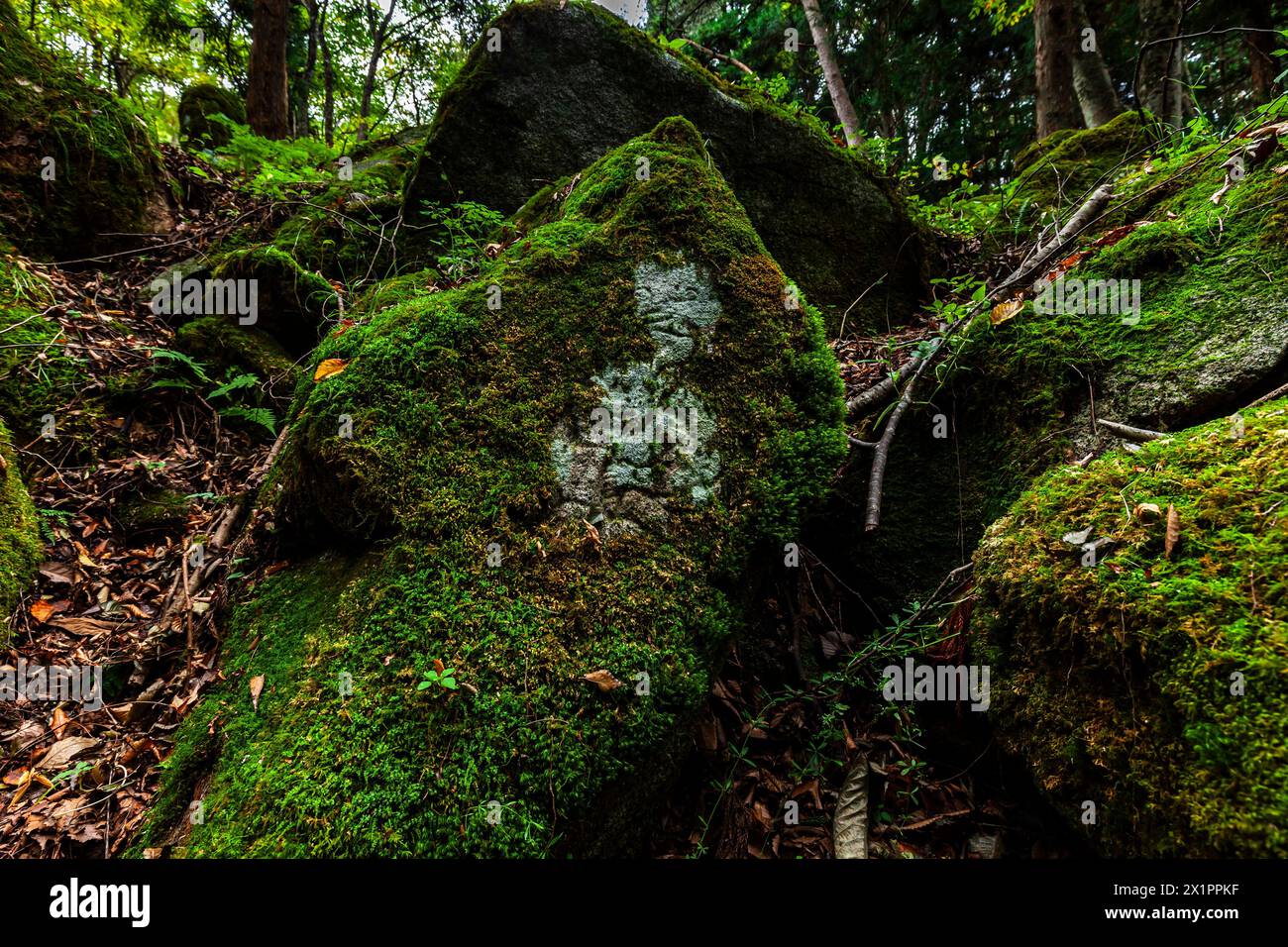 Tono Gohyaku Rakan, relief of Buddhist monks of natural stones, natural ...