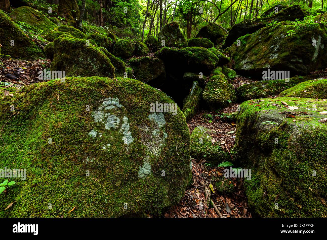 Tono Gohyaku Rakan, relief of Buddhist monks of natural stones, natural ...