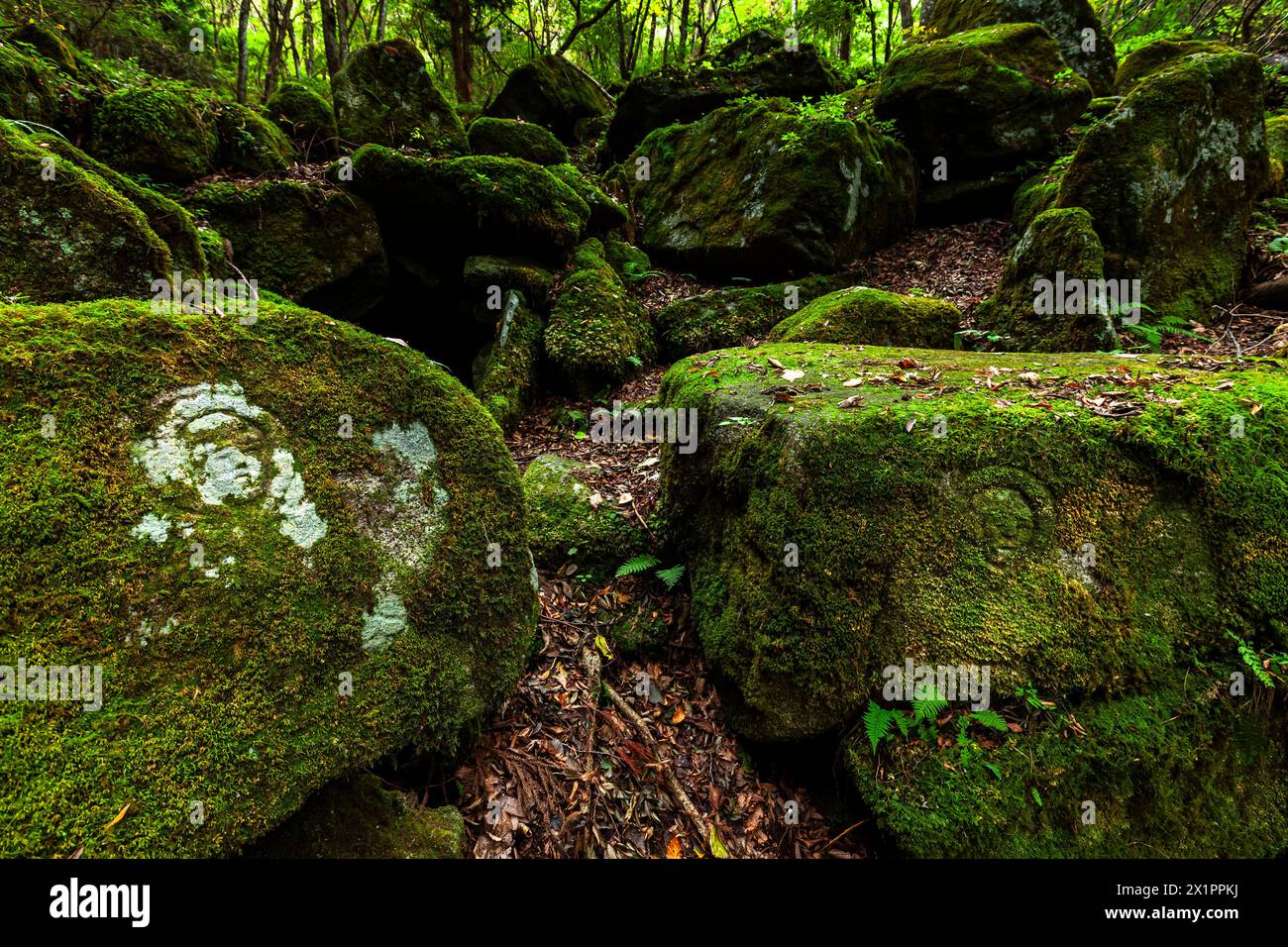 Tono Gohyaku Rakan, relief of Buddhist monks of natural stones, natural ...
