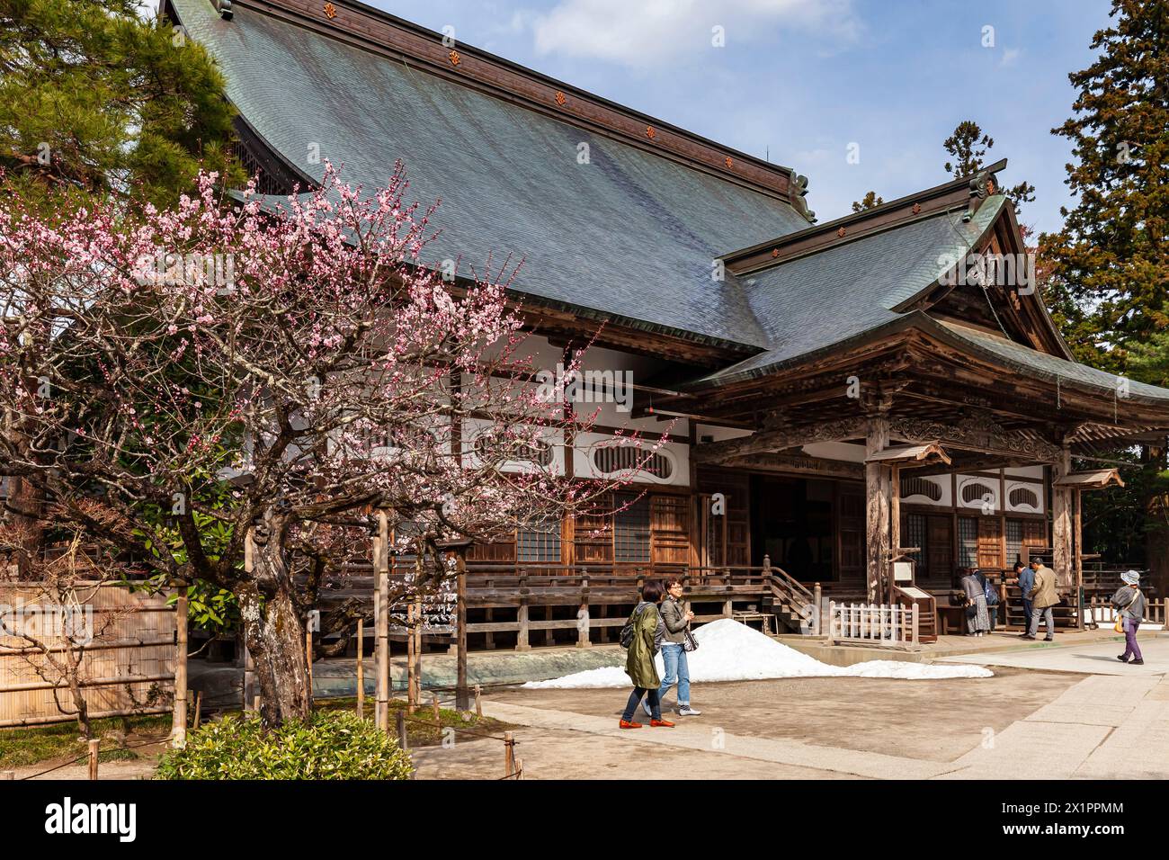 Hiraizumi, Chusonji temple, main temple, Plum blossom, Hiraizumi town ...