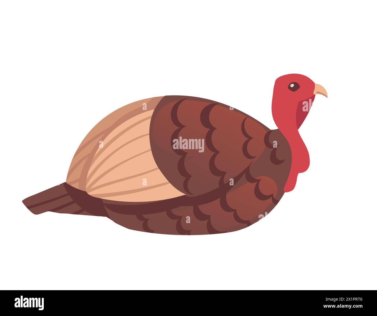 Cute turkey bird cartoon animal design vector illustration isolated on ...
