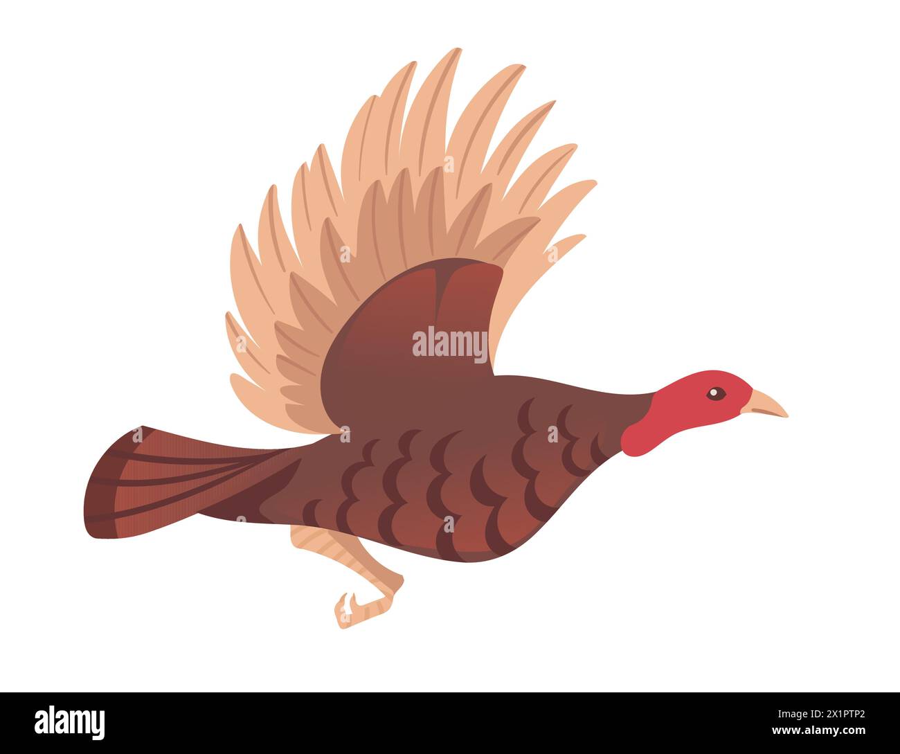 Cute turkey bird cartoon animal design vector illustration isolated on ...