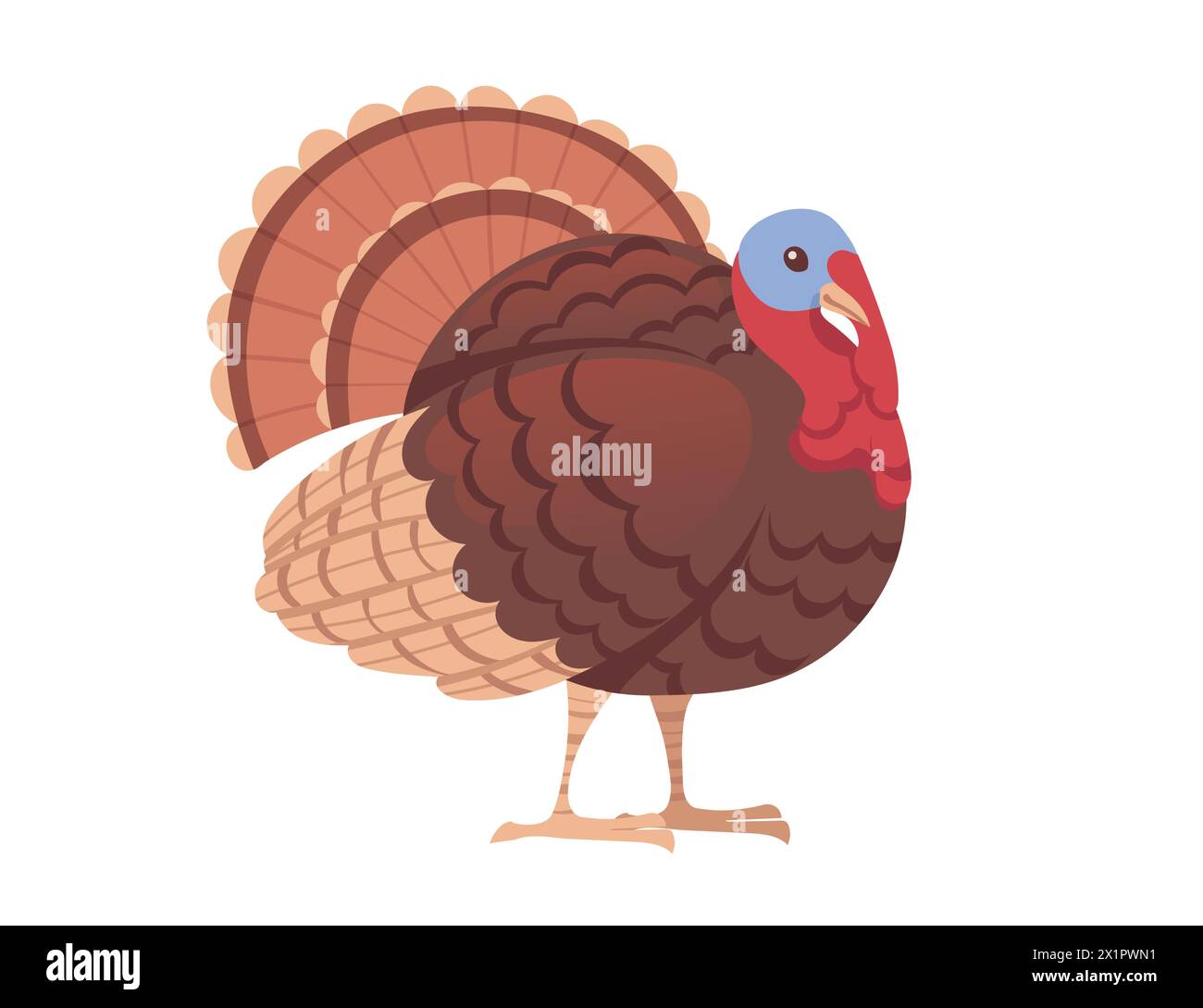 Cute turkey bird cartoon animal design vector illustration isolated on ...