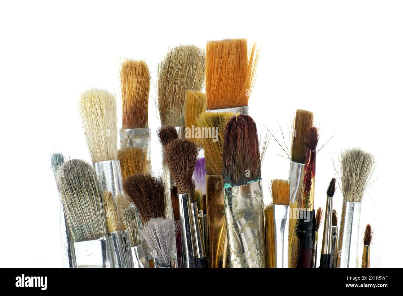 Varying coloration hi-res stock photography and images - Alamy