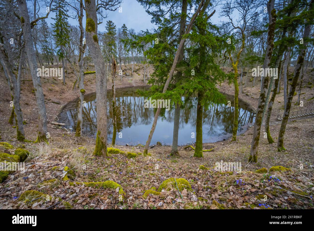Kaali field of meteorite craters in Saaremaa, Estonia Stock Photo - Alamy