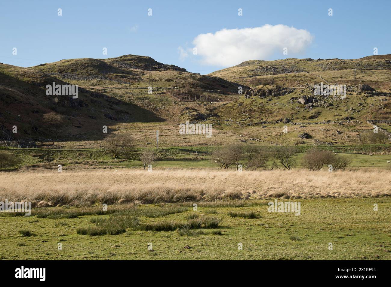 Arenig hi-res stock photography and images - Alamy