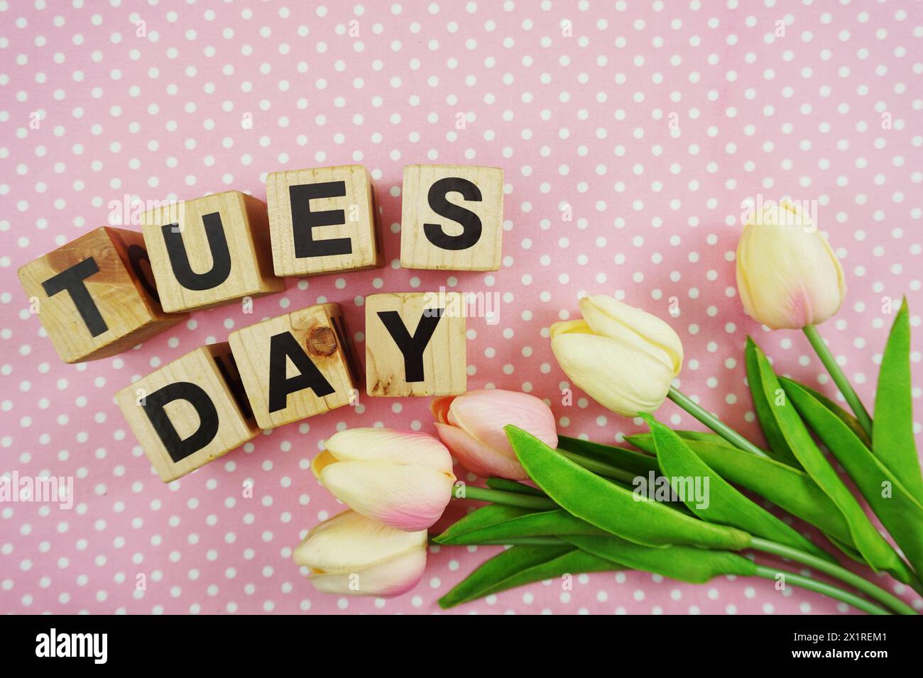 tuesday word made from wooden cubes with letters alphabet Stock Photo ...