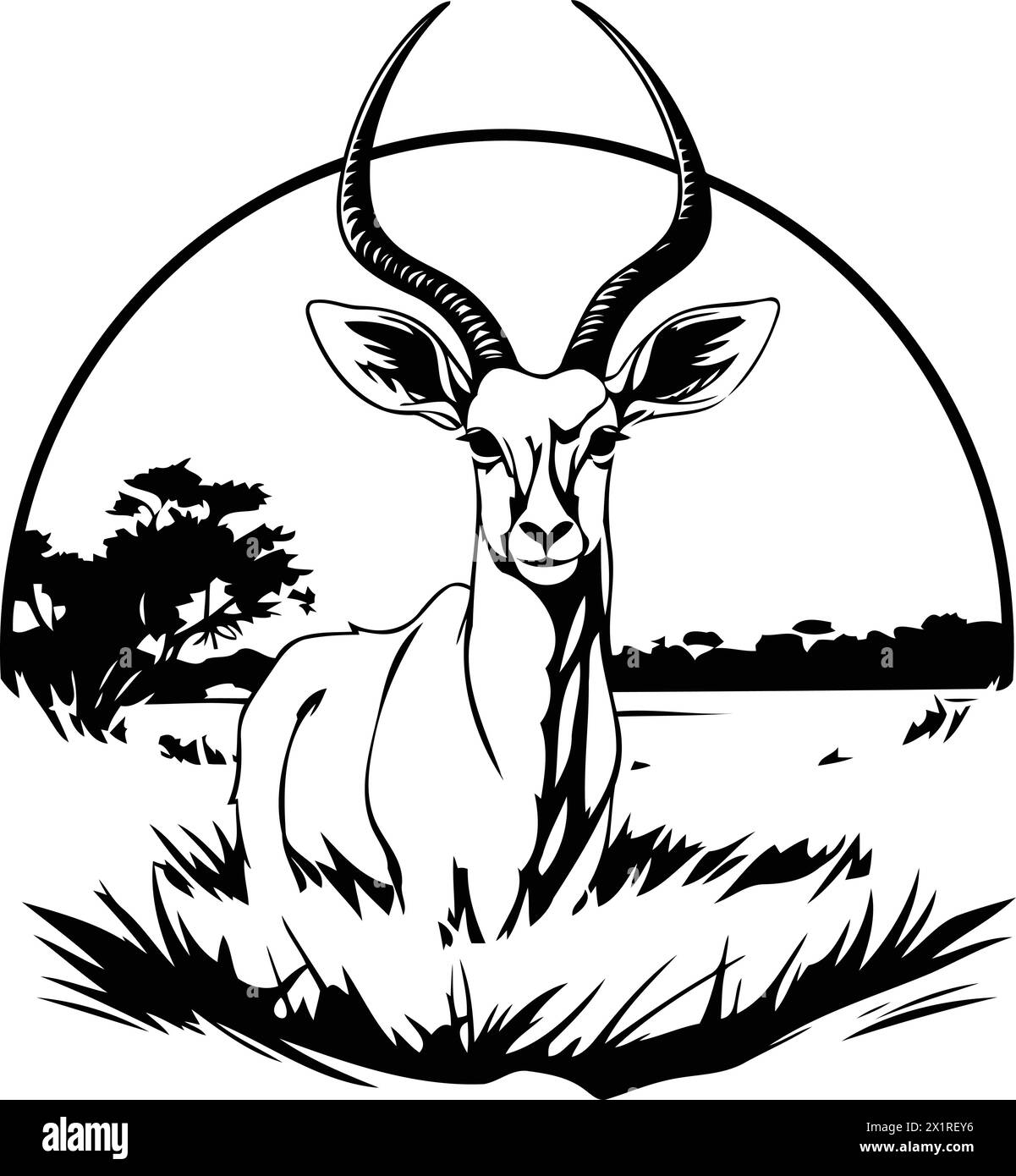 Impala in art hi-res stock photography and images - Alamy