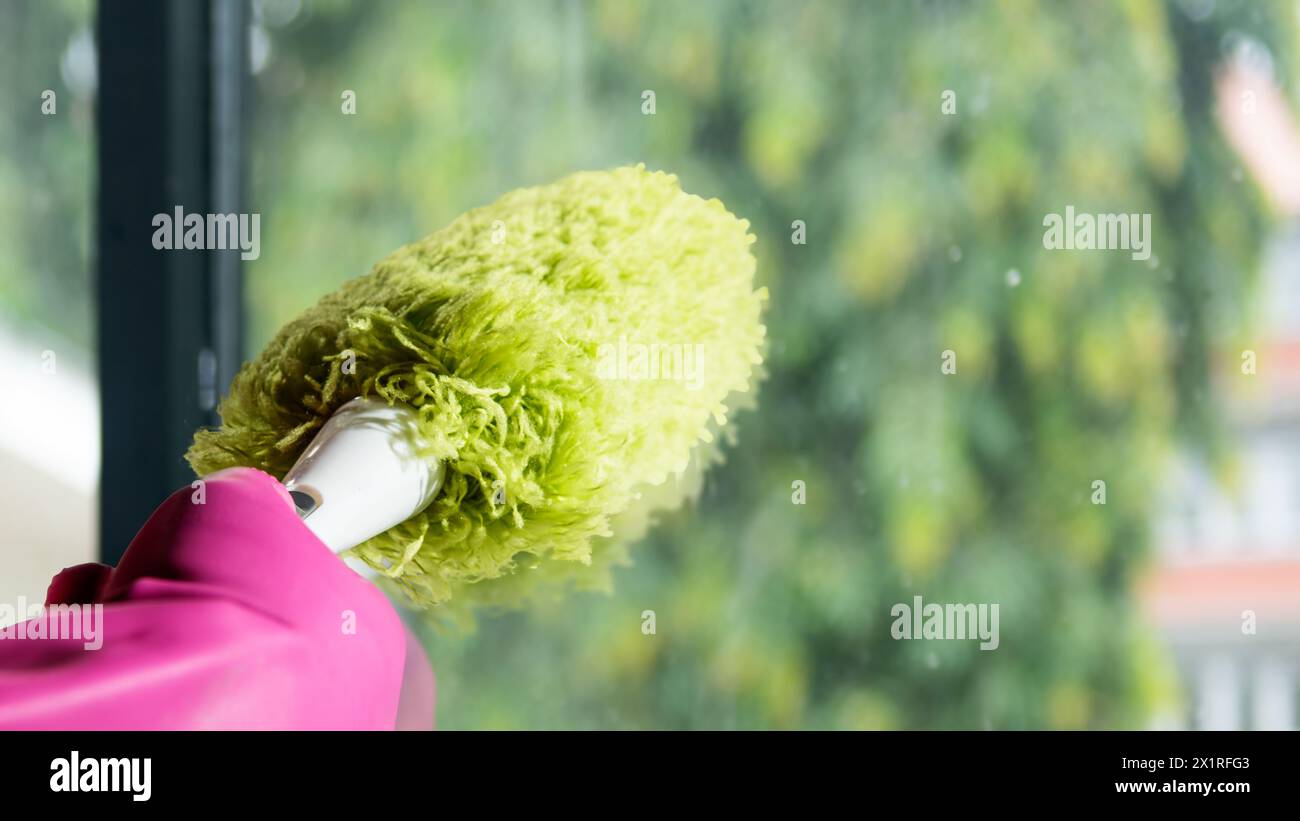 Human hand in protective glove wiping using a duster to clean the ...