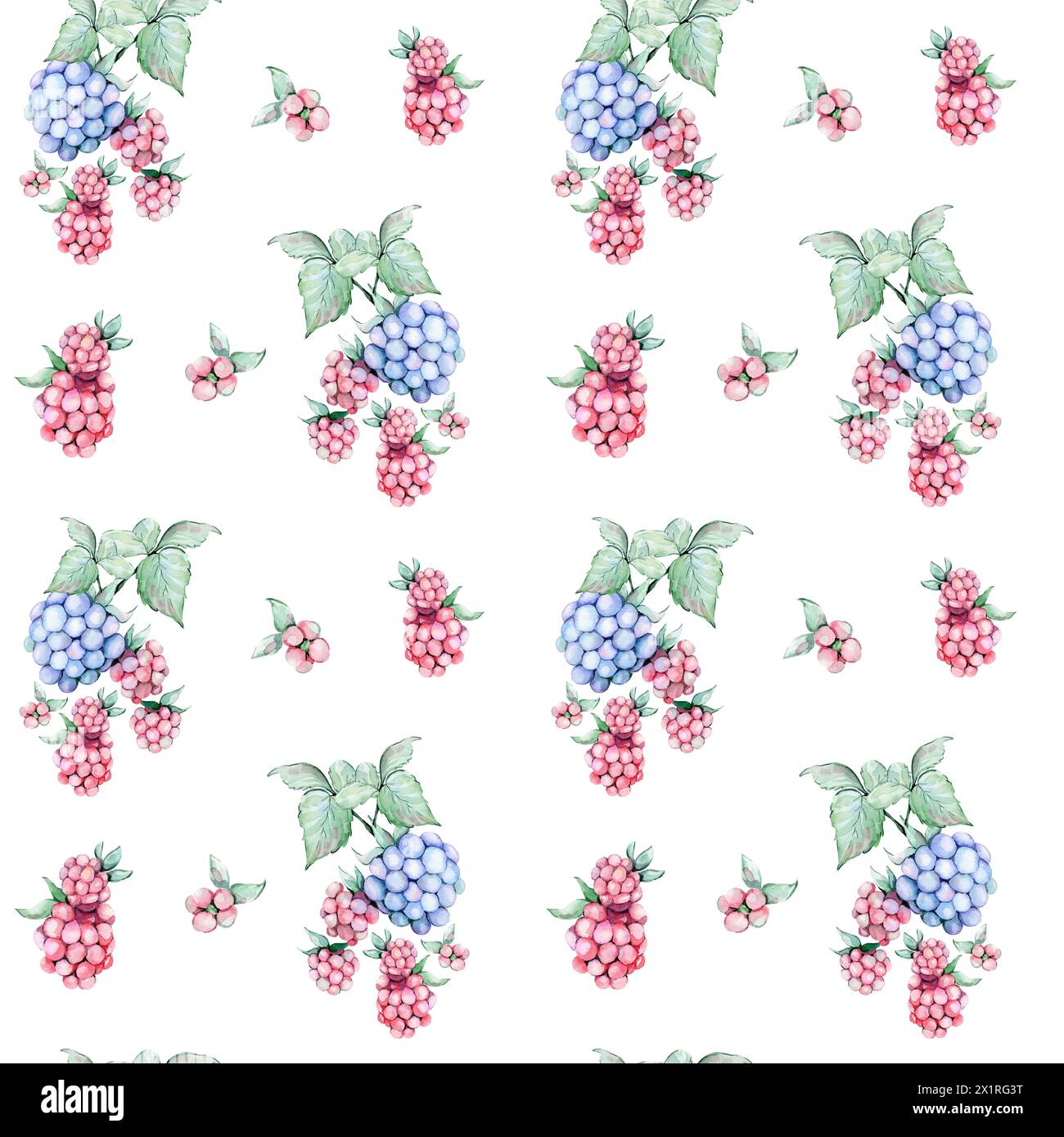 Raspberries drawing Cut Out Stock Images & Pictures - Alamy