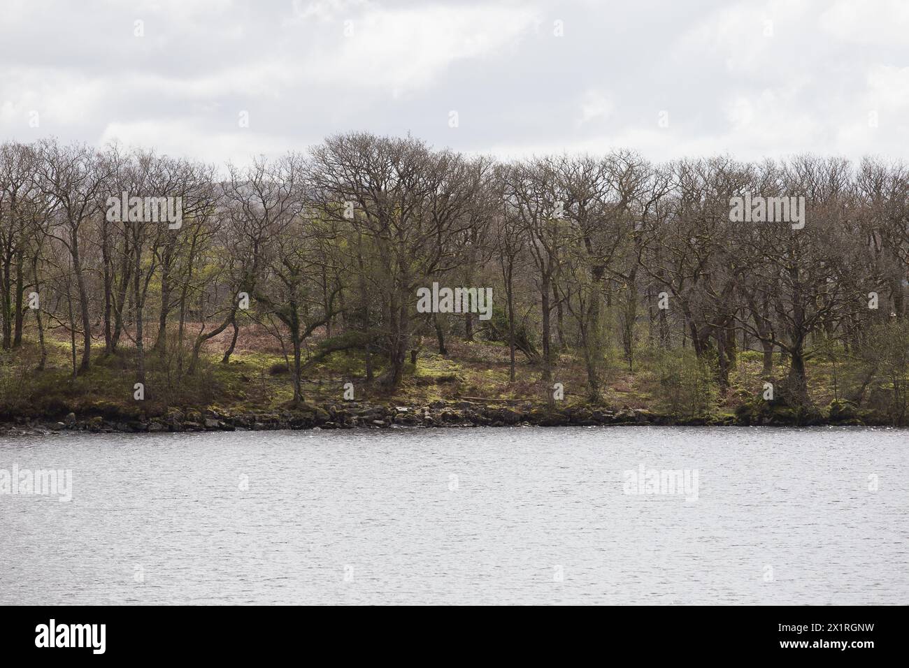 Water llyn hi-res stock photography and images - Alamy