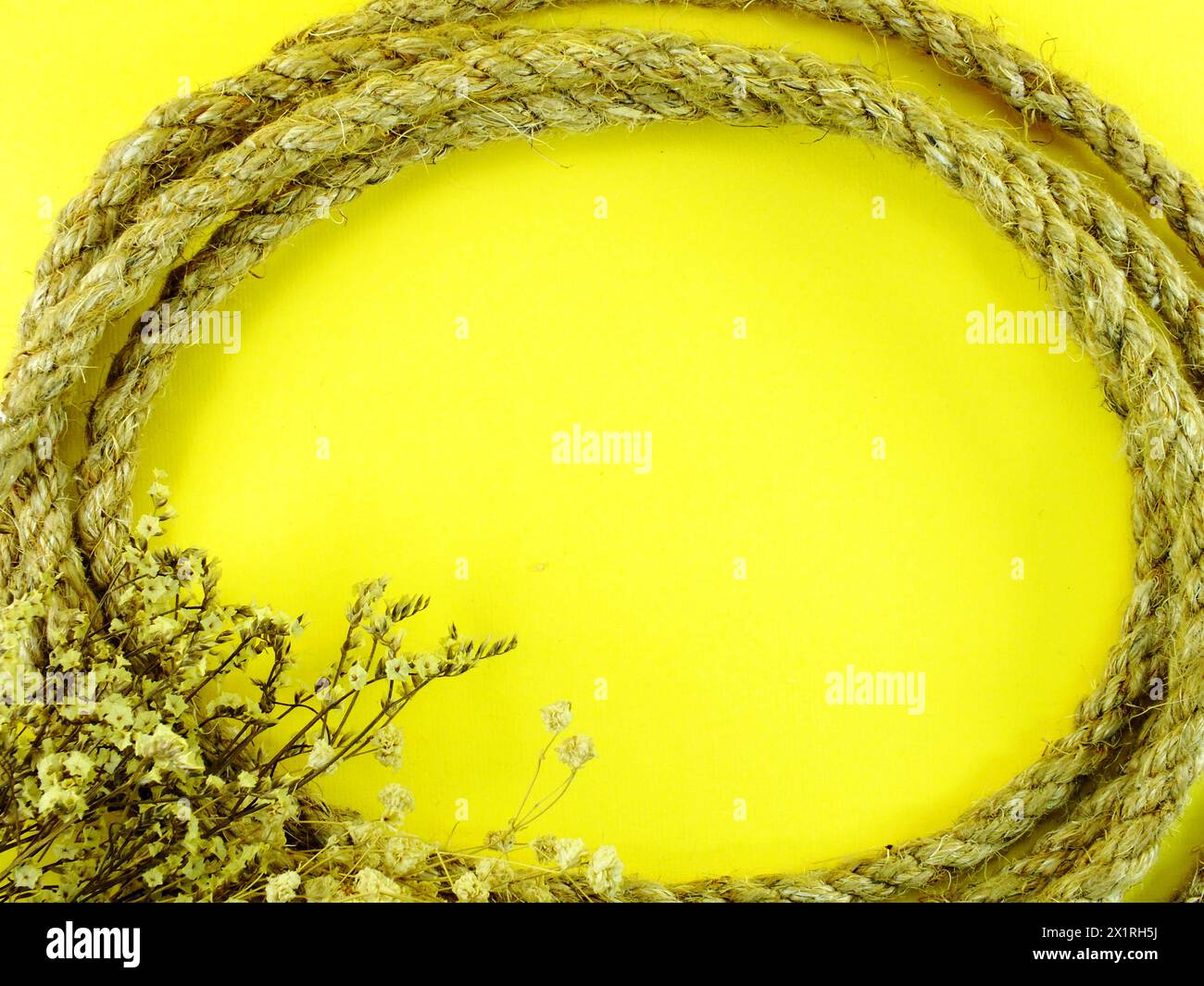 space background with dried flowers and Hemp rope border Stock Photo ...