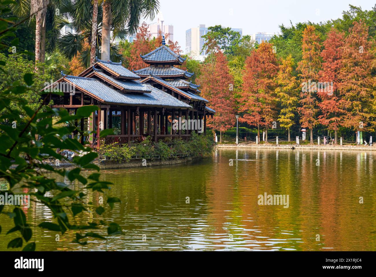 Yellowing trees and ancient Chinese pavilions in the autumn park Stock ...