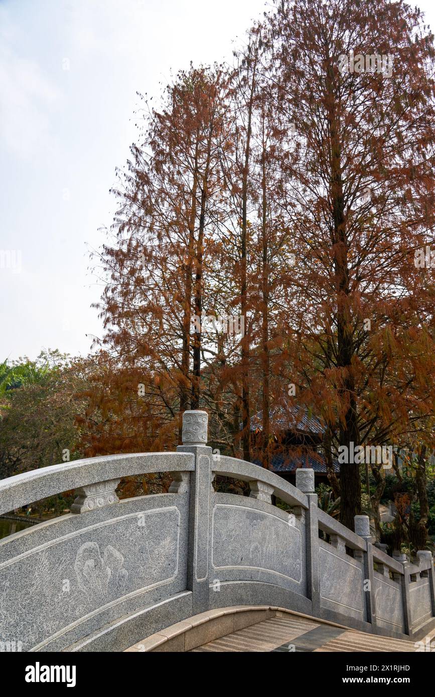Yellowing trees and ancient Chinese pavilions in the autumn park Stock ...